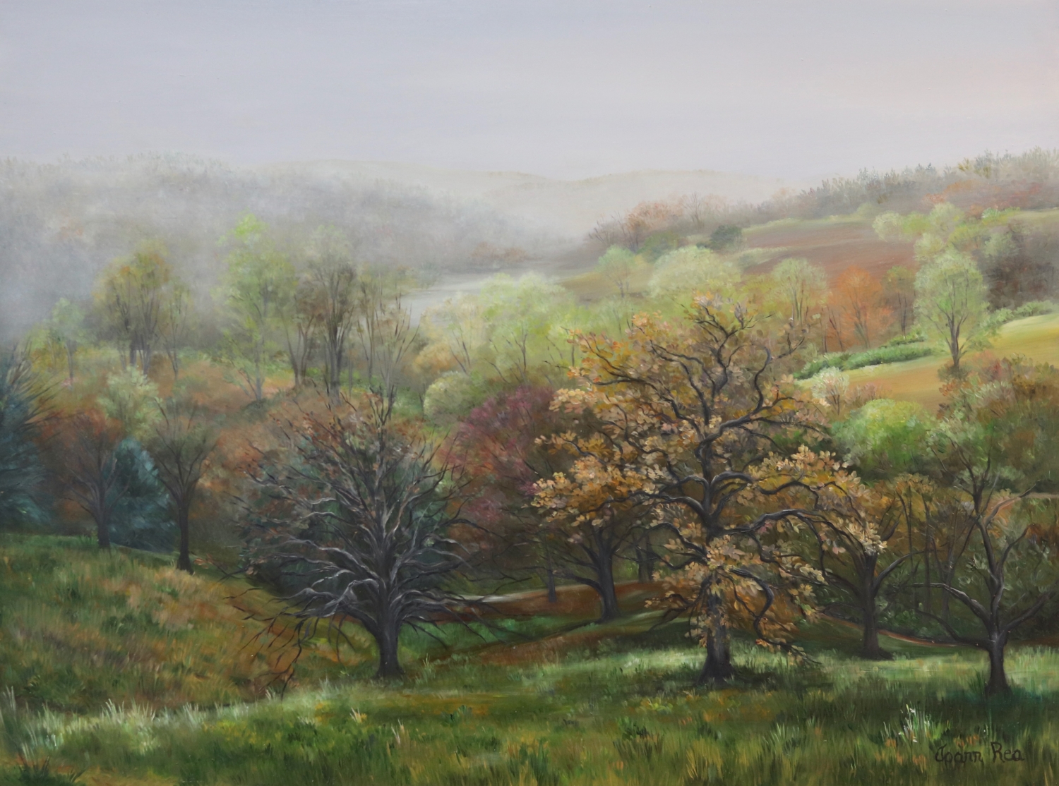 Joann Rea Artist - Untitled - Aaron Galleries